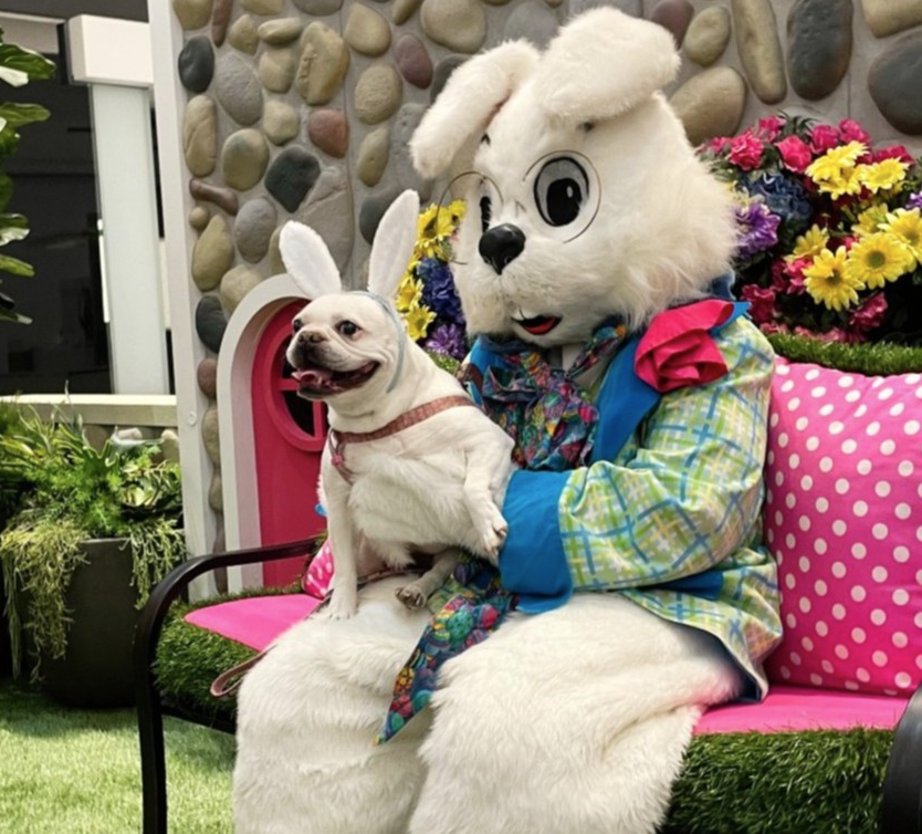 Hop to UTC for Easter Bunny Events, Egg Hunts and Springtime Fun ...